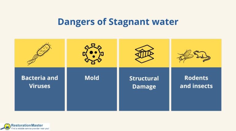 The Dangers Of Stagnant Water And How To Remove It 4876
