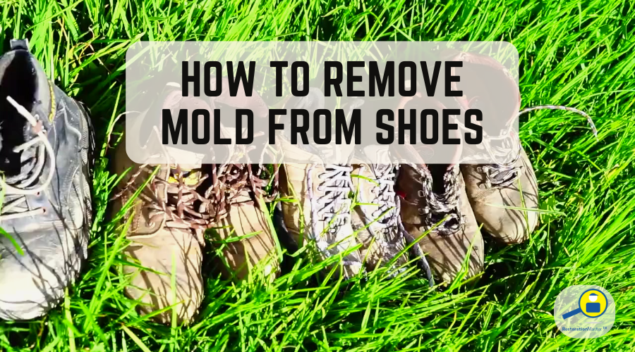 How to Remove Mold from Shoes: Repair and Prevent | Video